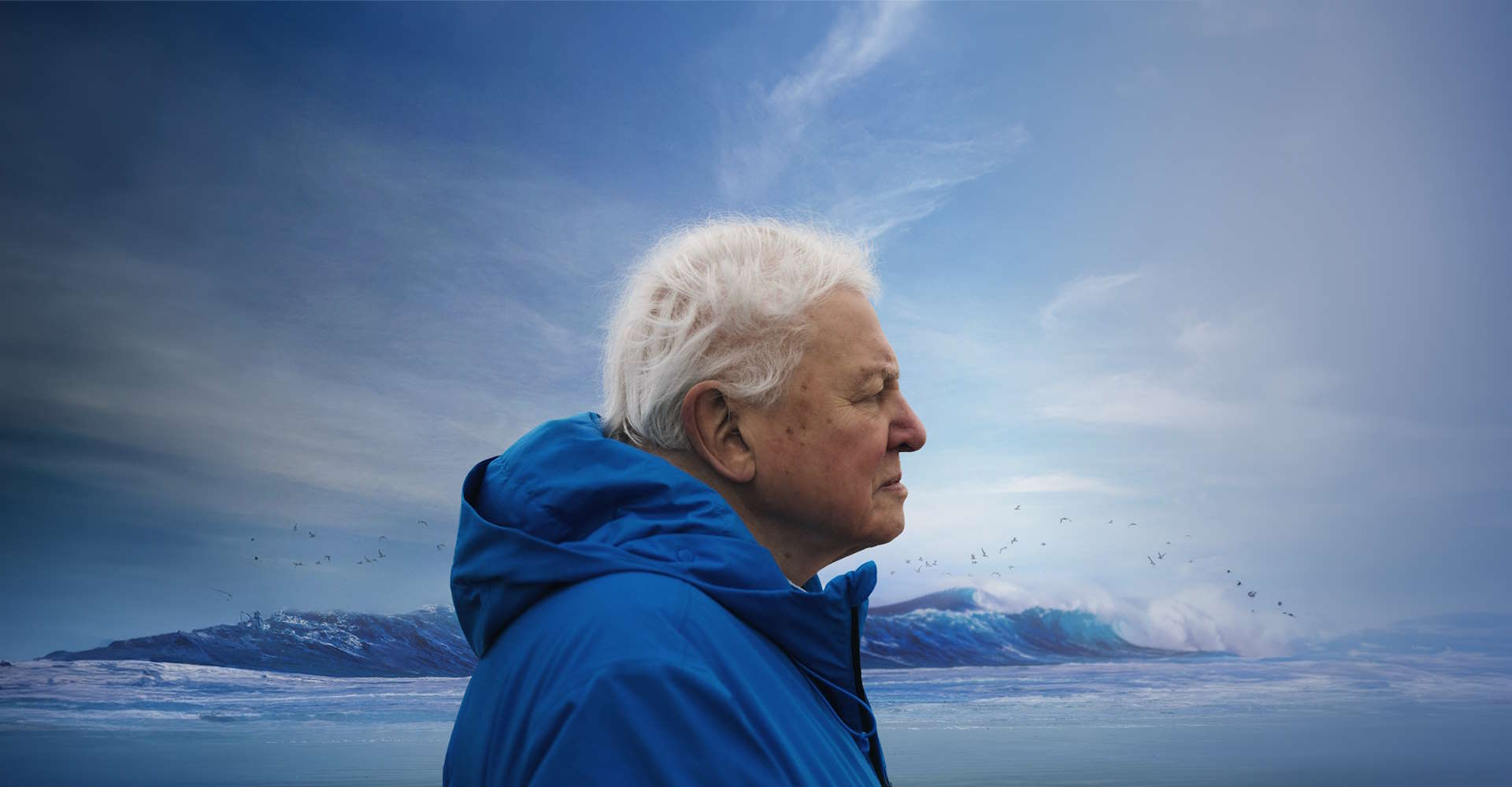 David Attenborough óceánokról szóló filmje június 14-én debütál a ...